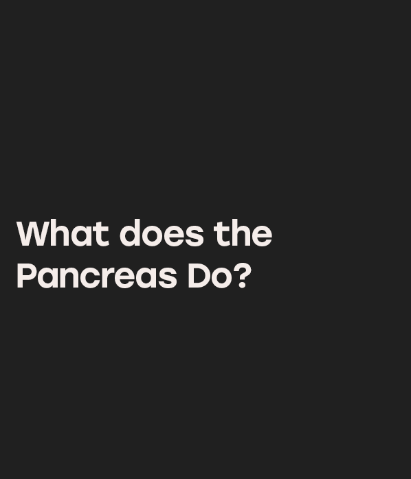 What does the Pancreas Do? – The Gut Co®